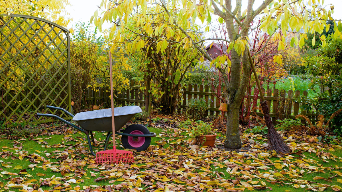 Weekend Gardening Projects to Transform Your Yard This Fall | Garden ...