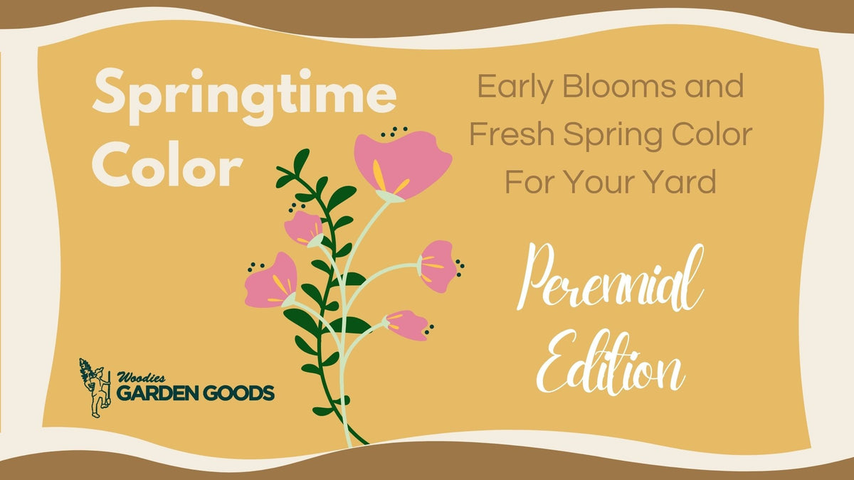 Early Spring Color and Blooms For Your Yard: Perennial Edition | Garden ...