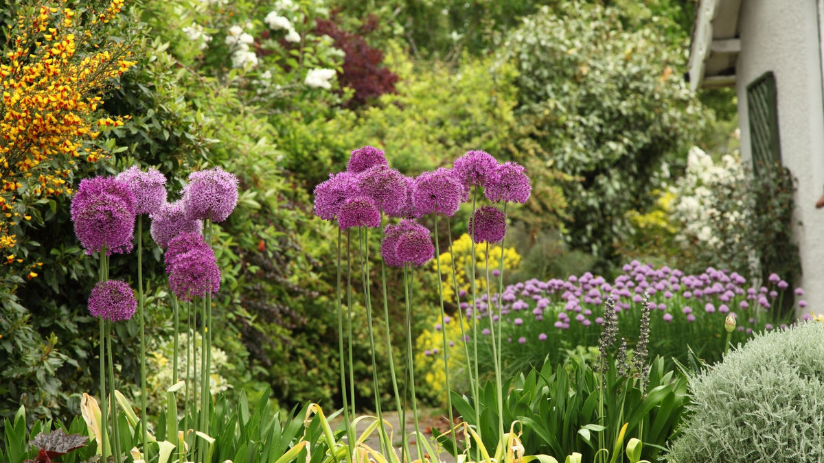 How to Plan Out Your Spring Garden | Garden Goods Direct