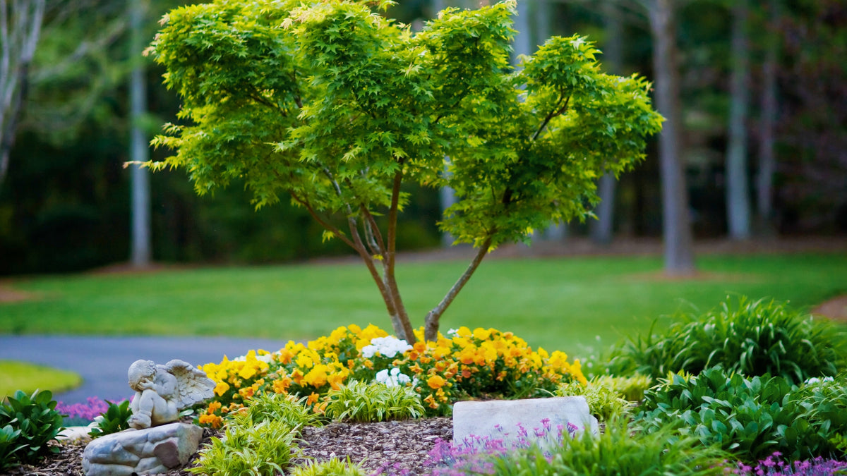 Planting Trees as Memorials: A Living Tribute to Loved Ones | Garden ...