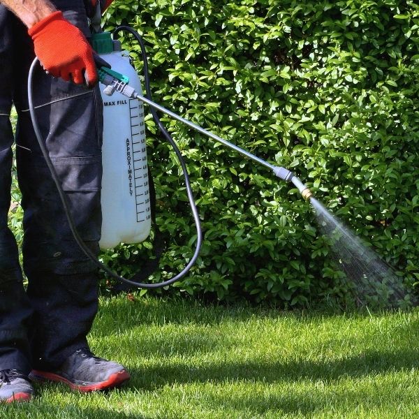 Buy Weed Control Products Online | Garden Goods Direct