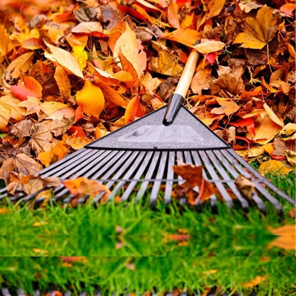 Long-Handle Tools | Garden Goods Direct