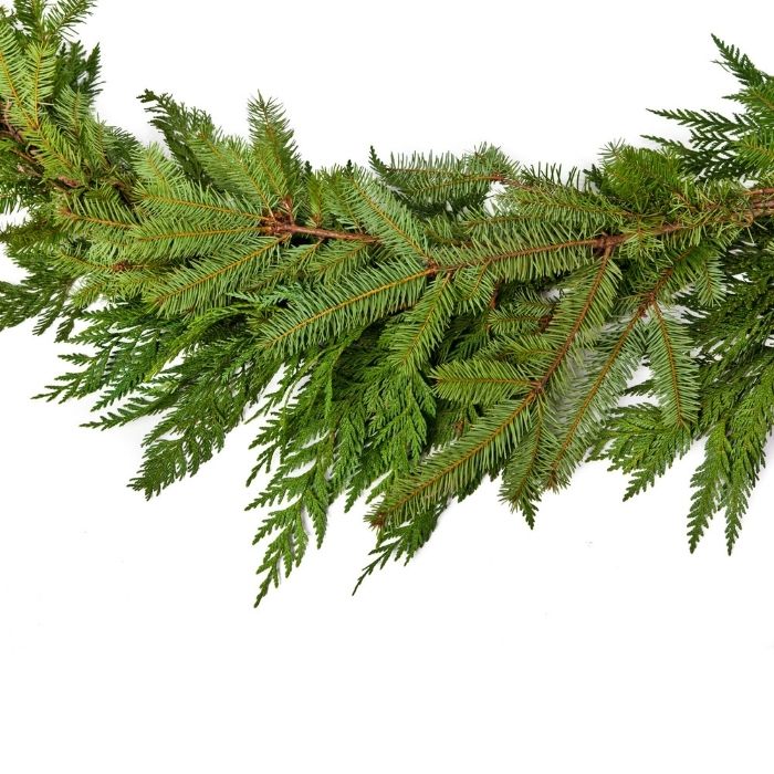 Buy Fresh Cedar and Douglas Garland Online | Free Shipping Over $99