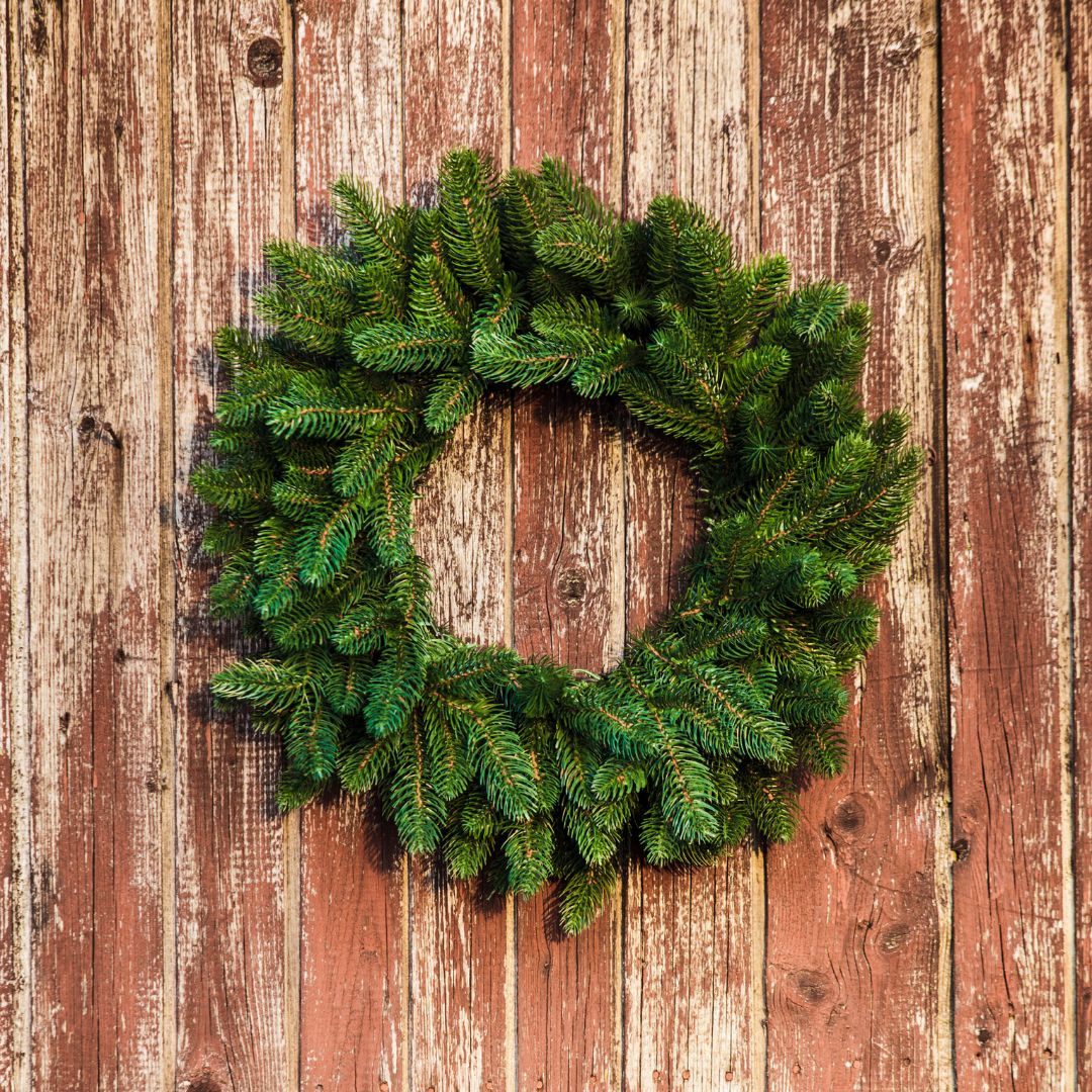 Buy Noble Fir Wreath (Undecorated) Online | Free Shipping Over $99
