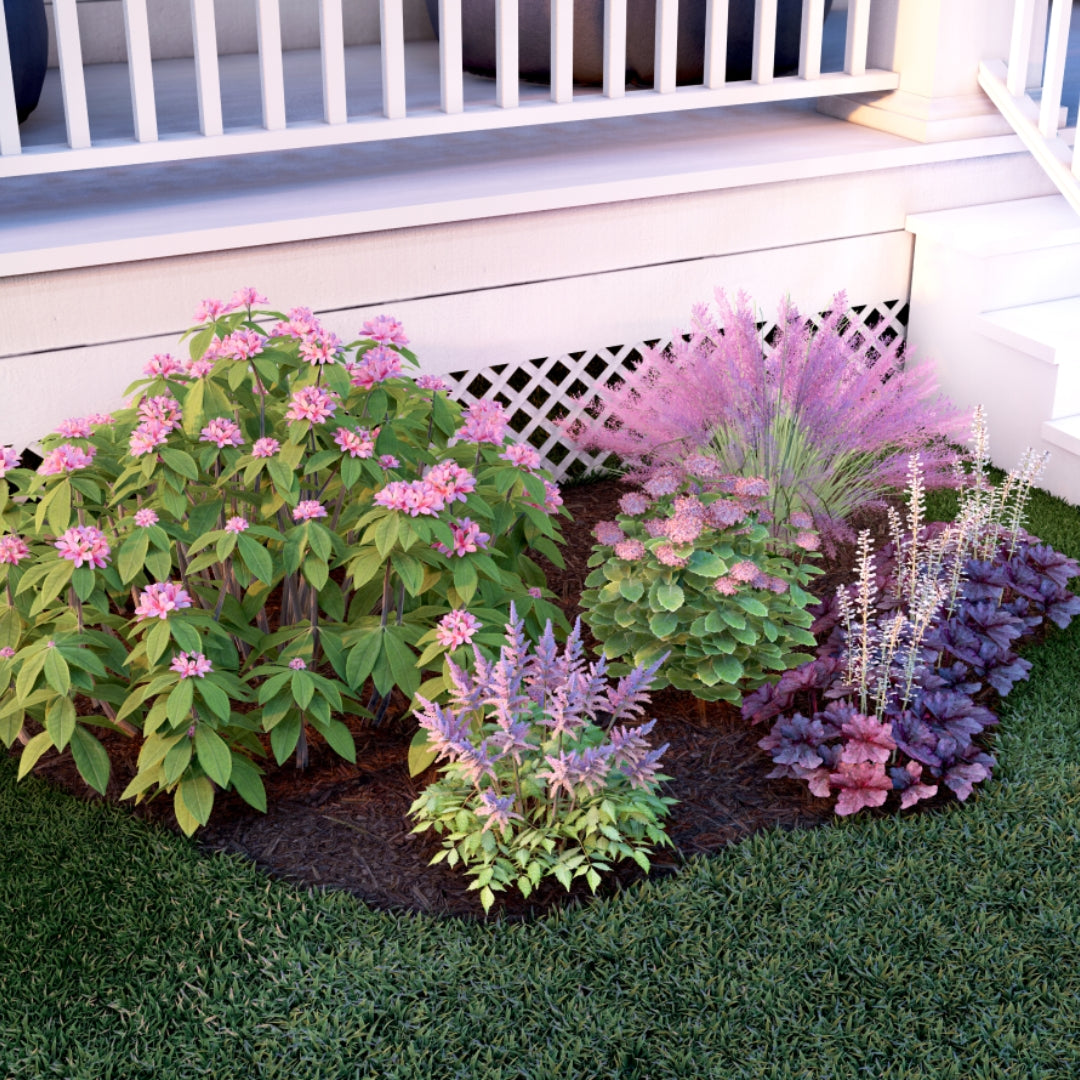 Plant By Number Small Accent Garden | Garden Goods Direct